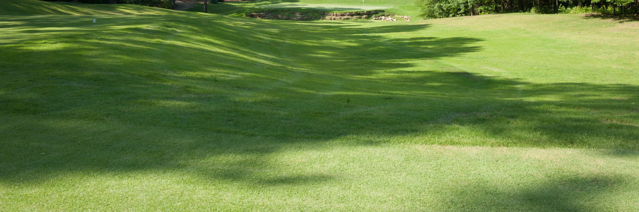 Golfing Packages | Dancing Rabbit Golf Course